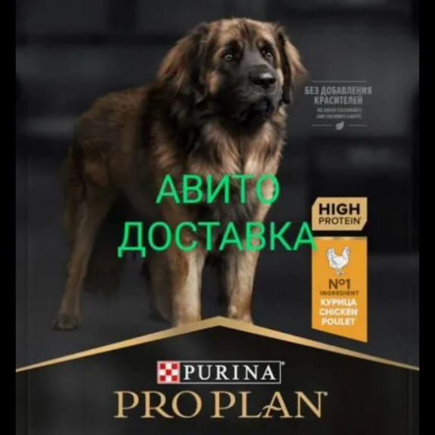 Пропан для собак