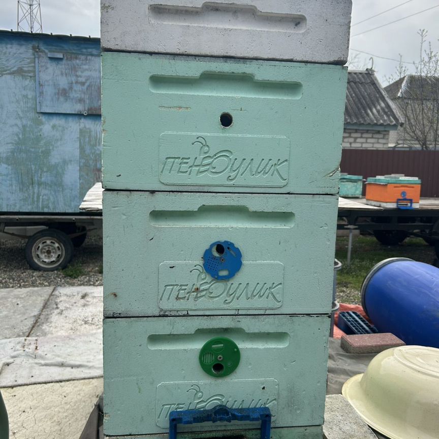 Пеноулик 10 рамок