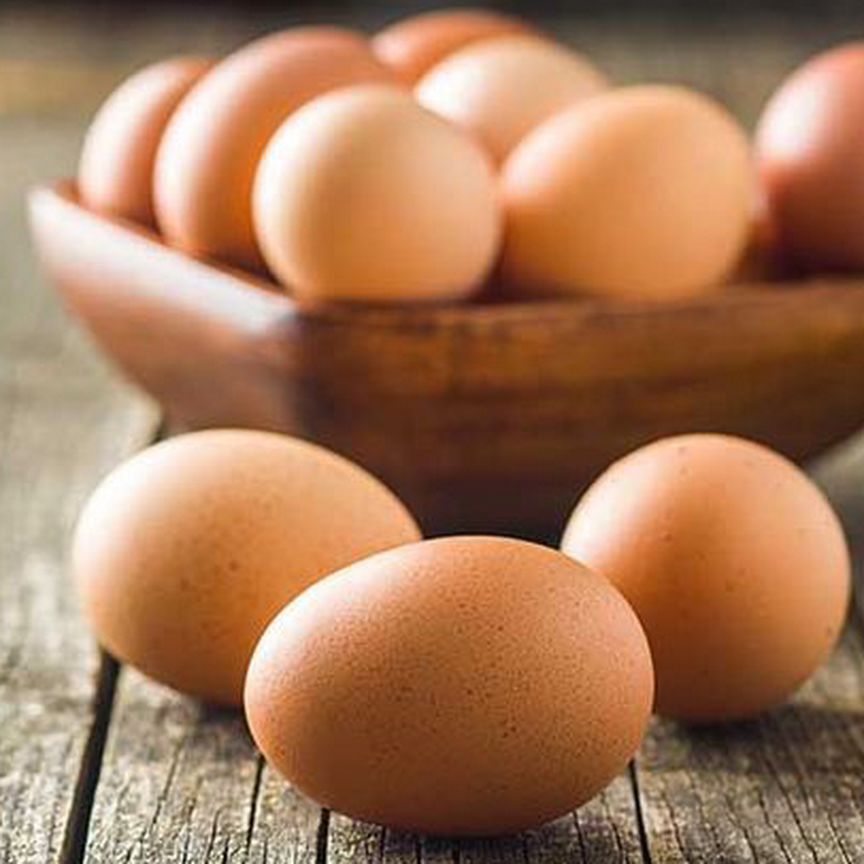 Яйца кур на инкубацию