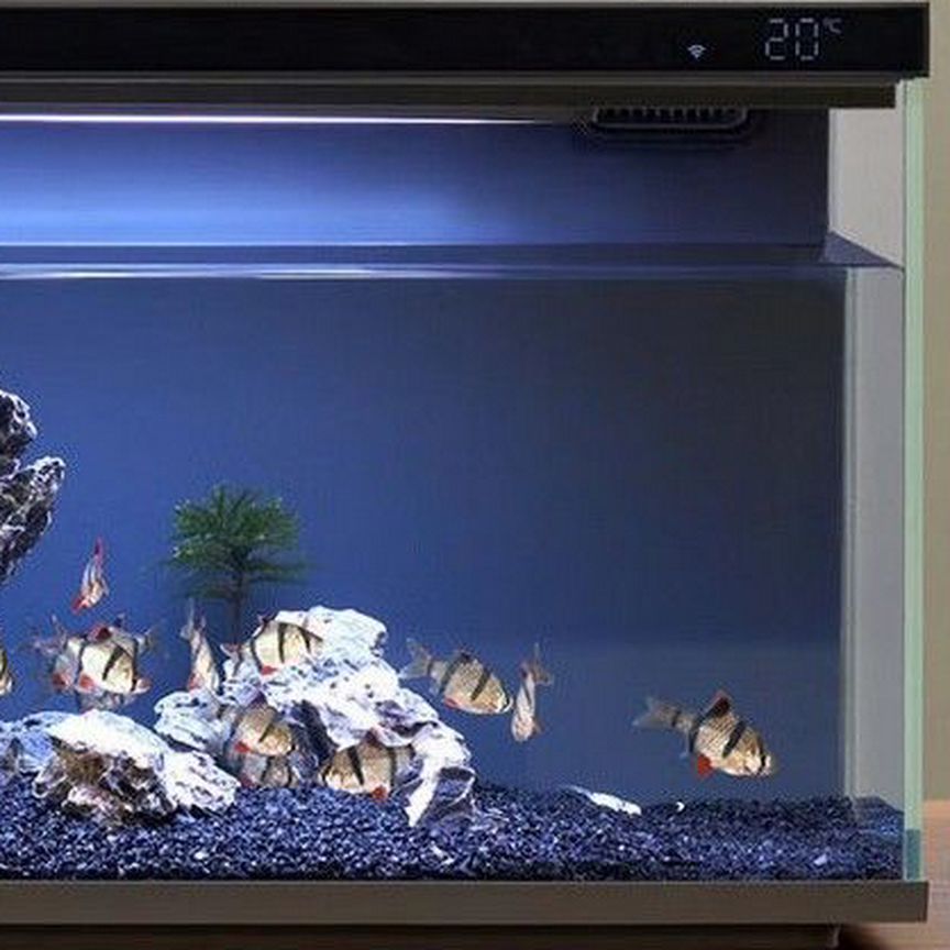 Аксессуары для аквариума Xiaomi