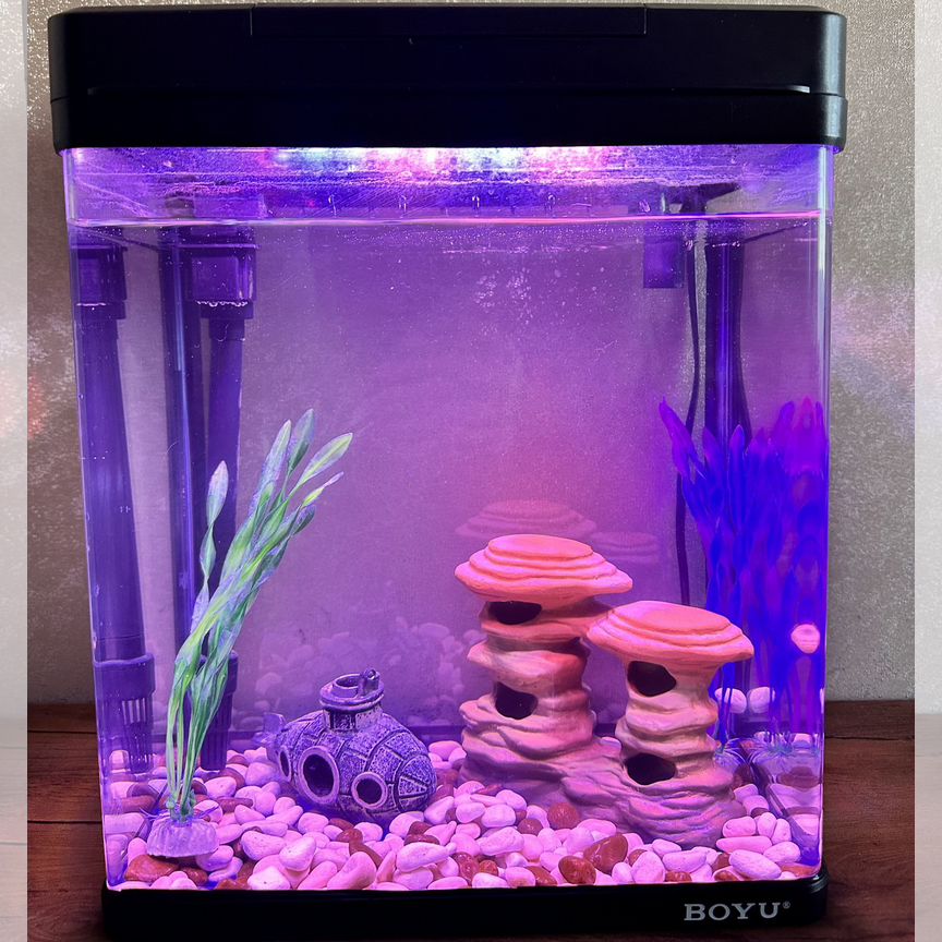Аквариум понорамный 20 литров с наполнением