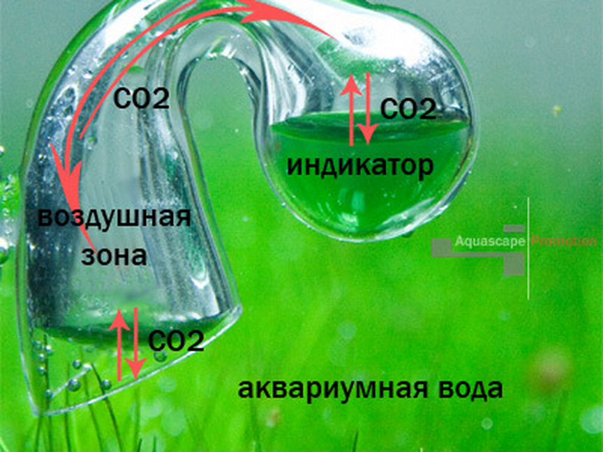 Дропчекер+индикатор30мл.(уровень со2 в аквариуме)