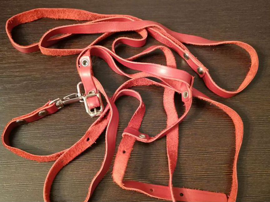 Новый кожаный поводок