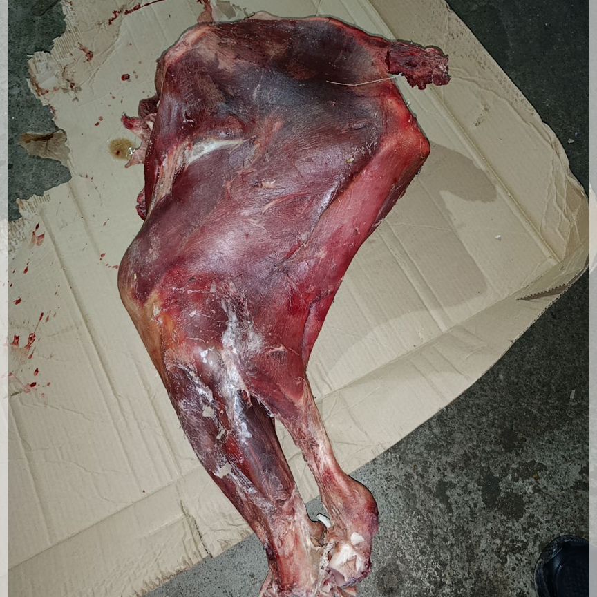 Мясо говядина для собак