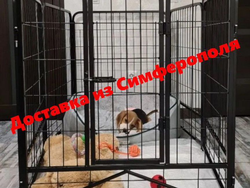 Усиленный вольер доставка в Феодосию