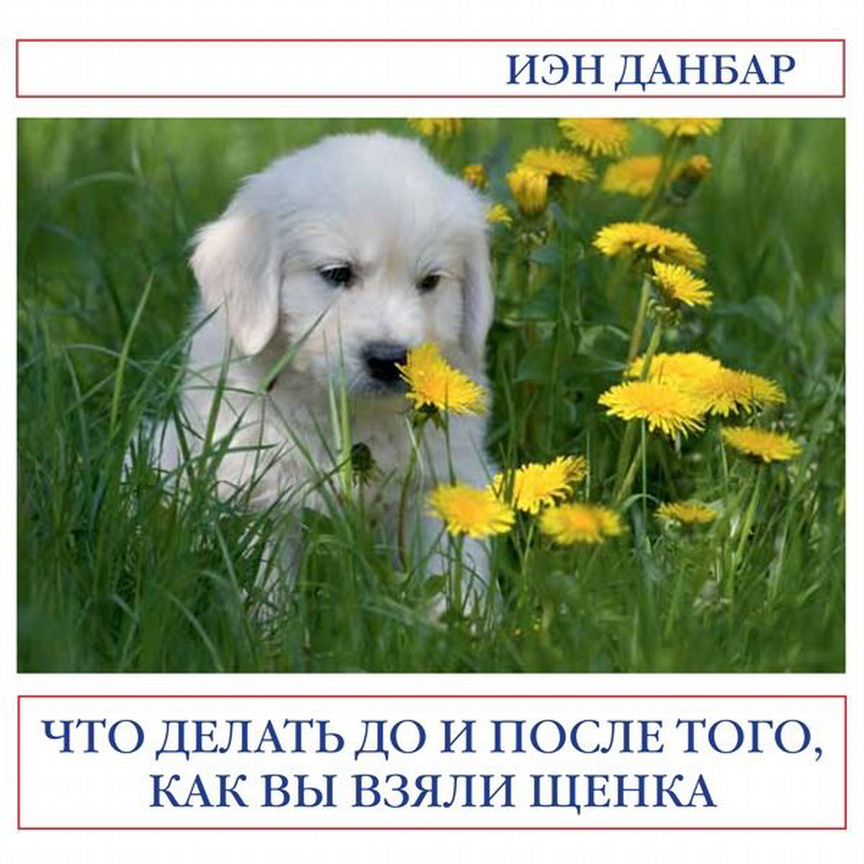 Данбар И. Что делать до и после того, как вы взяли