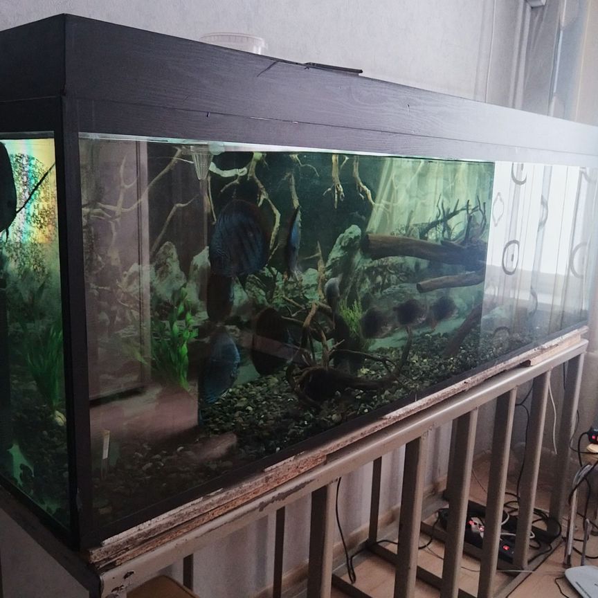 Аквариум с рыбками