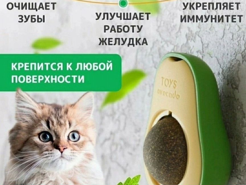 Кошачья мята шарик