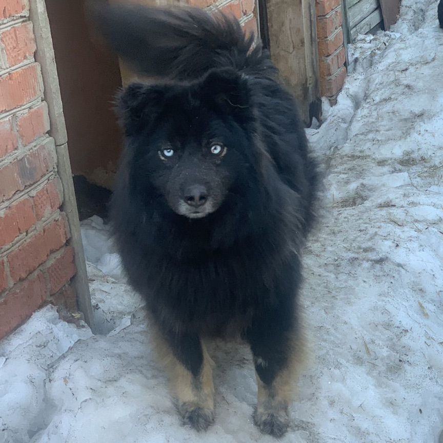 Добрее друга не найти