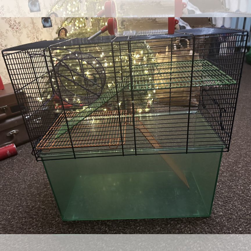 Клетка с аквариумом для грызунов