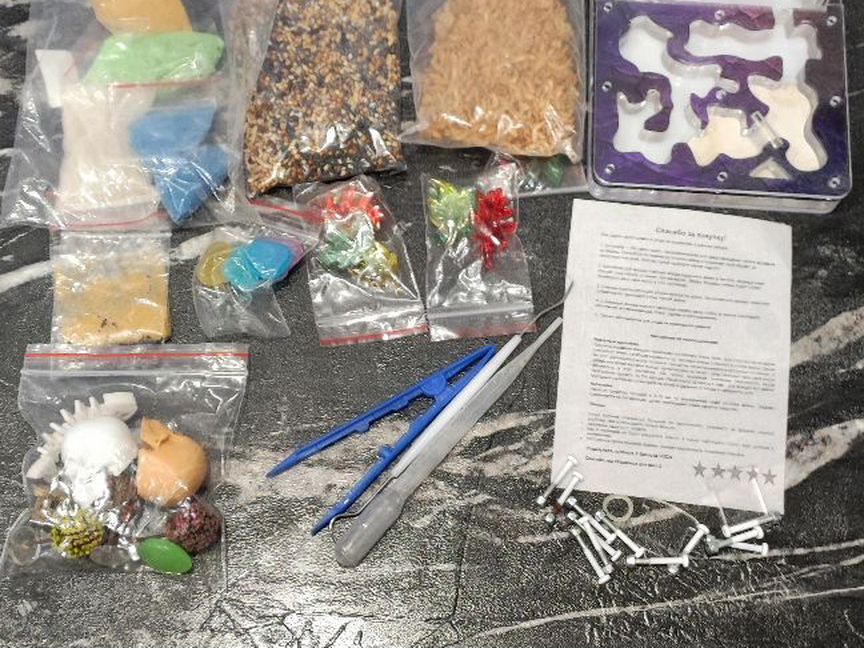 Муравьиная ферма