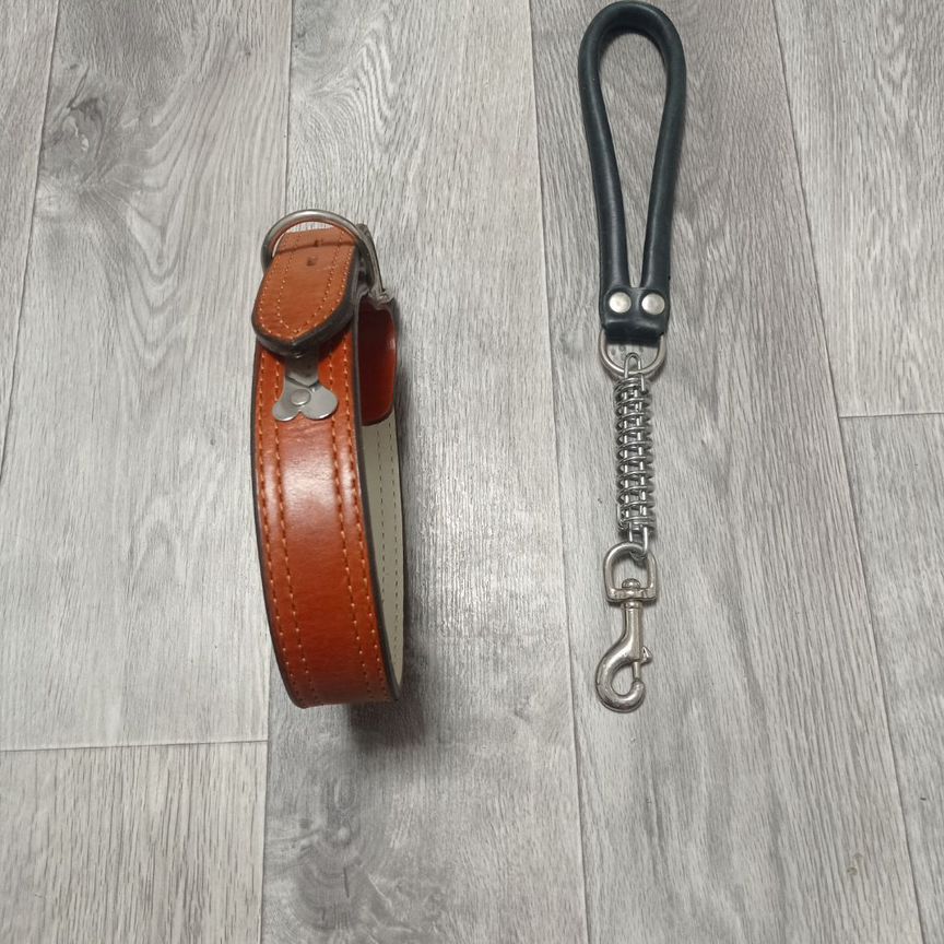 Ошейник и ручка для поводка