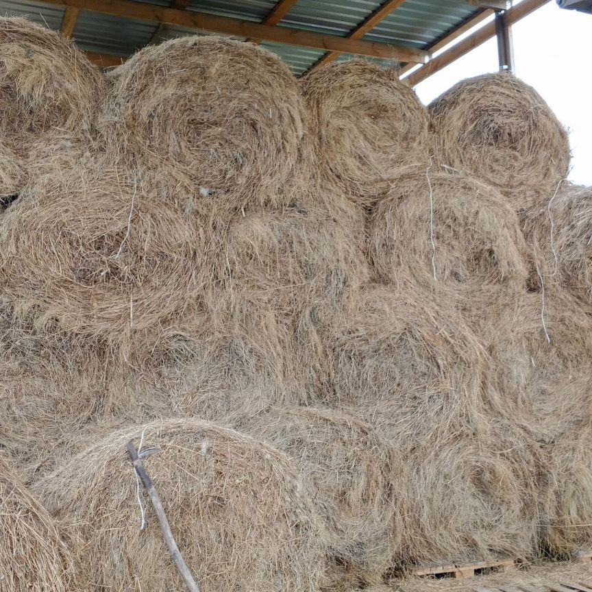 Сено в рулонах