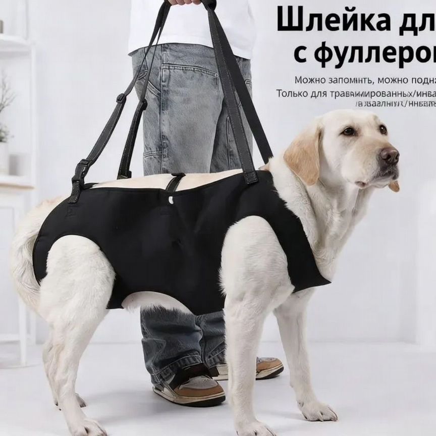 Шлейка для собак