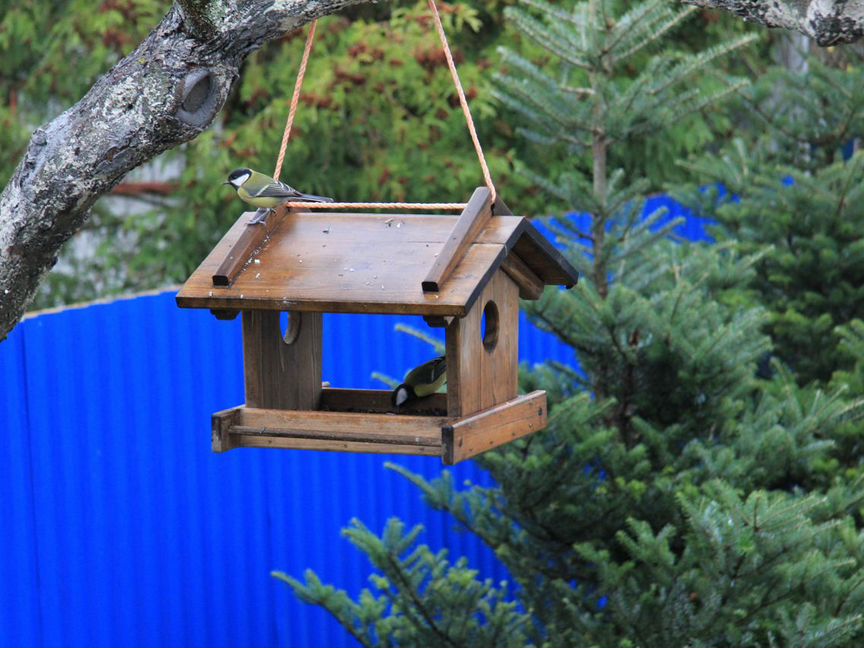 Кормушка для птиц и белок