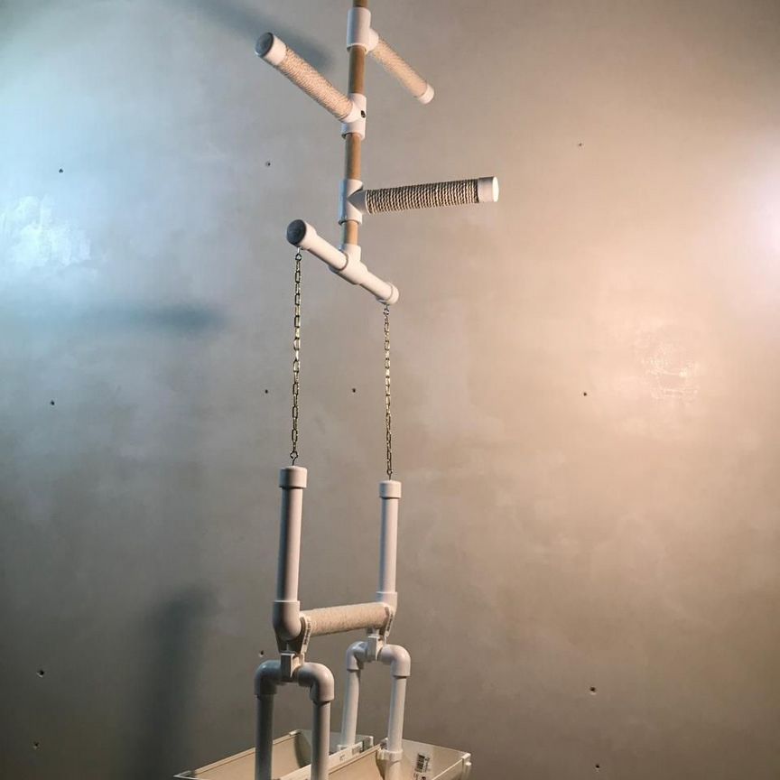 Качели для попугая