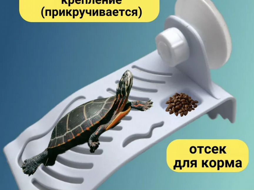 Мостик для черепахи