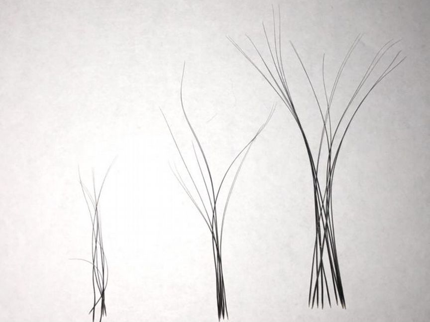 Кошачьи усы (30 шт)