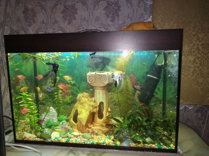 Аквариум 70 литров
