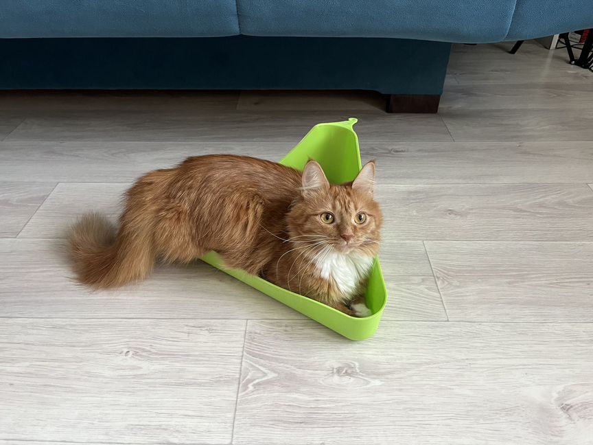 Туалет угловой для мини-кроликов, шиншил и хорьков