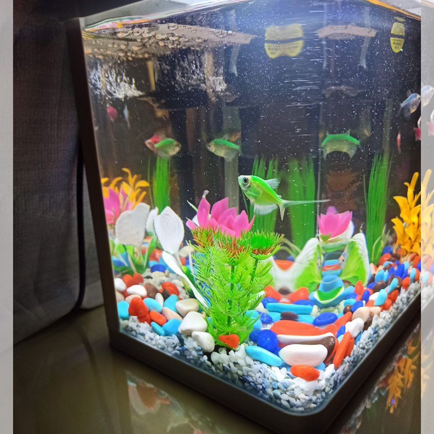 Аквариум с рыбками новый, в полной комплектации