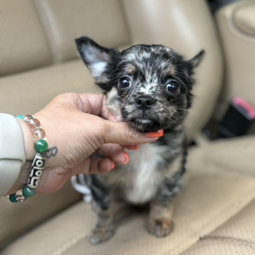 Мальчик мрамор