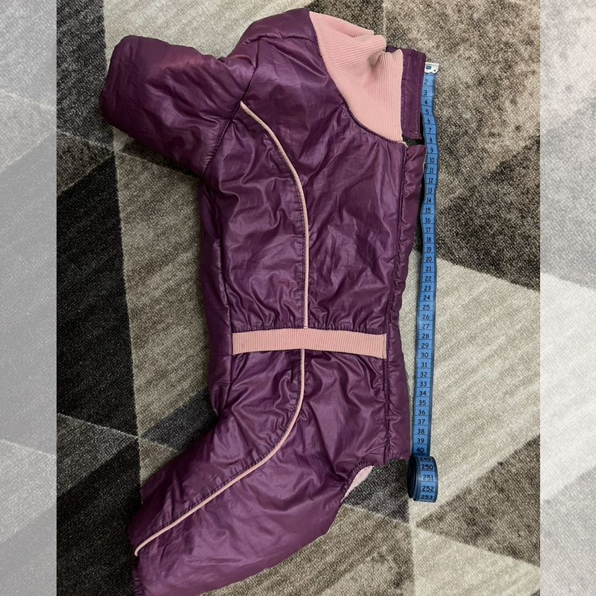 Одежда для собак