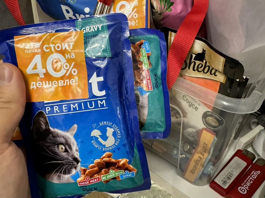 Кошачий корм в дар
