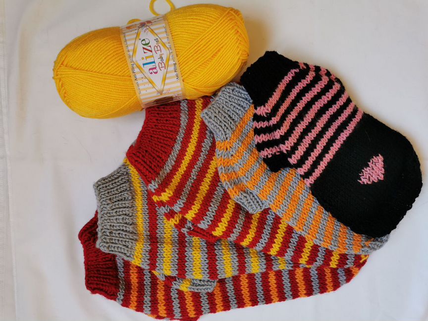 Одежда для животных