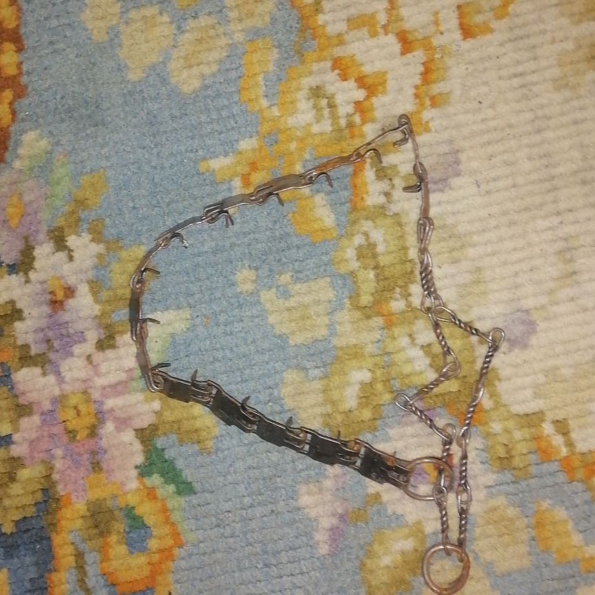 Ошейник для собак