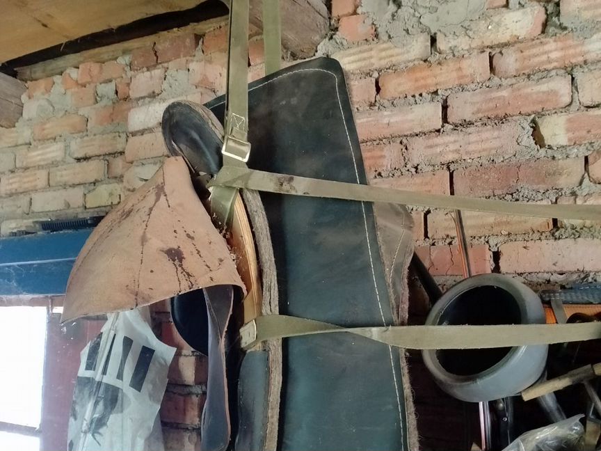 Сбруя для лошади