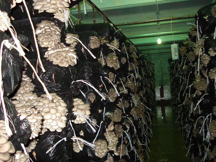 Самое вpeмя xoбби интеpeсно