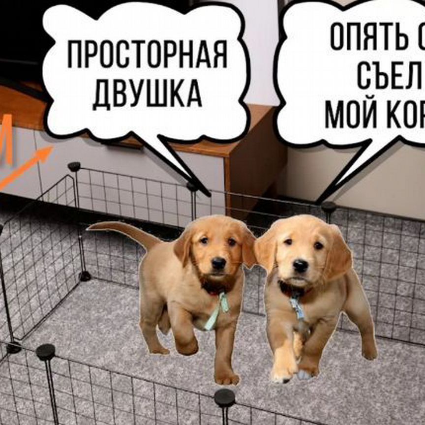 Вольер для собак