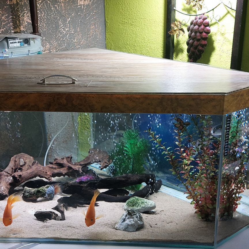 Аквариум с тумбой