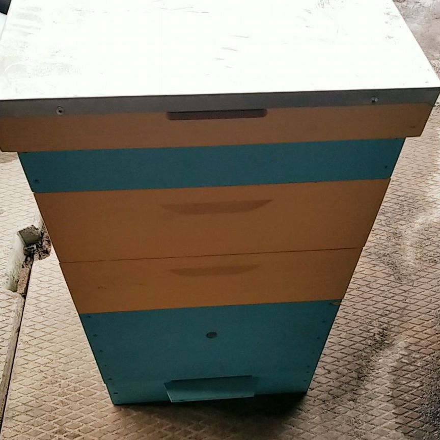 Улей системы дадан на 10 рамок