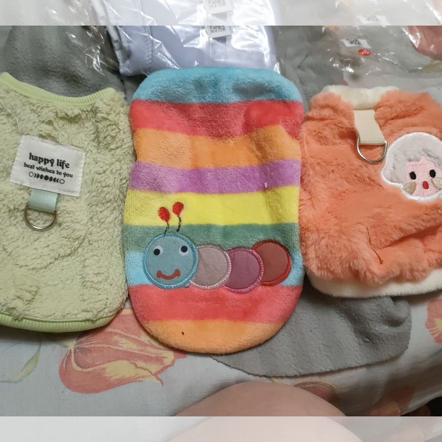 Одежда для кошек и мелких собак