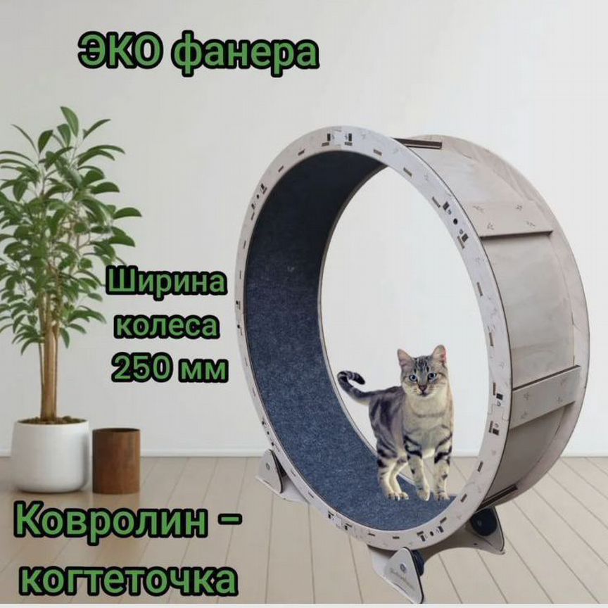 Беговое колесо для кошек