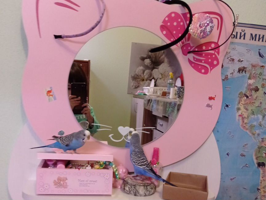 Волнистые попугаи с большой клеткой