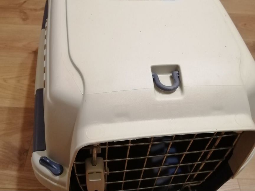 Переноска для животных в аренду