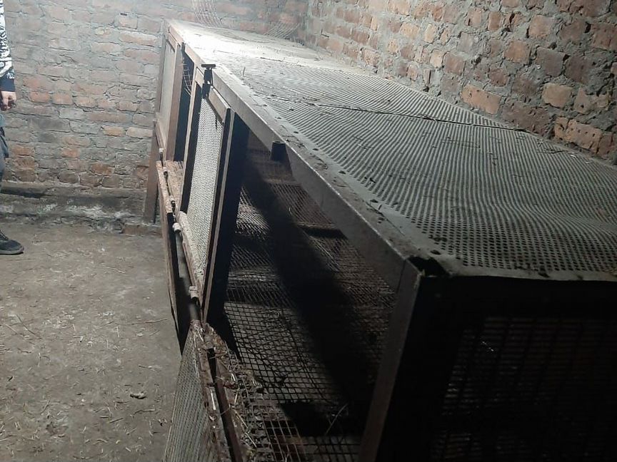 Клетка
