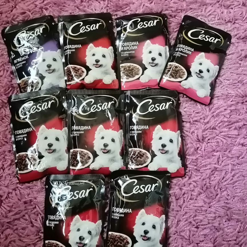 Влажный корм для собак cesar