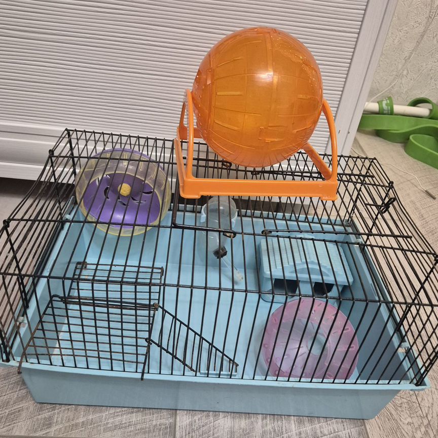 Клетка для джунгарского хомяка