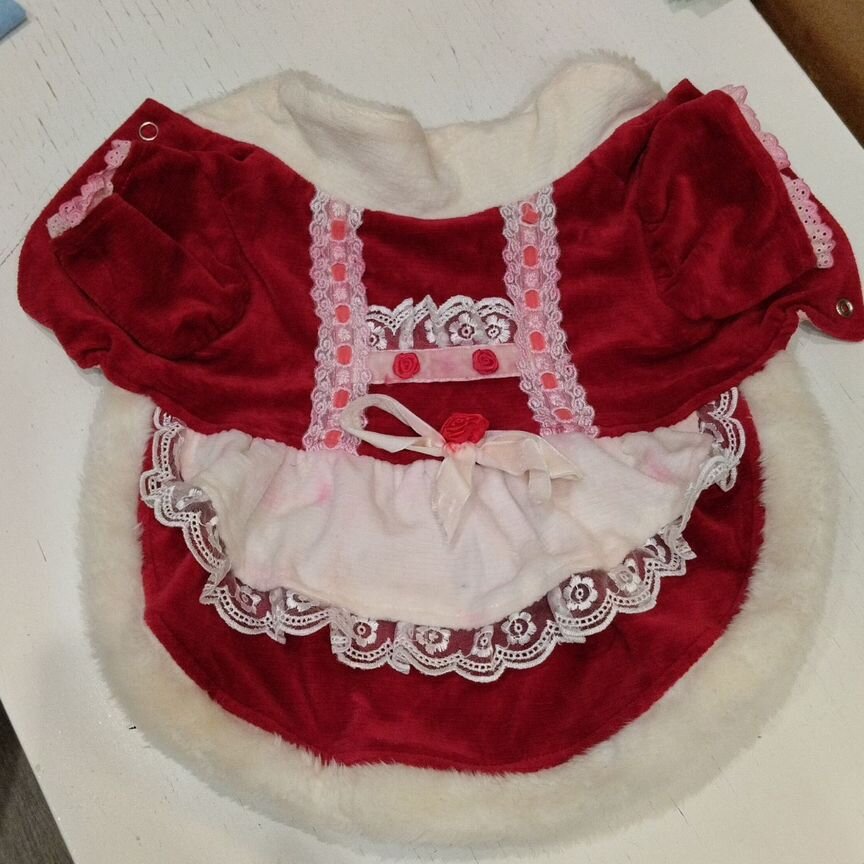 Одежда для собак