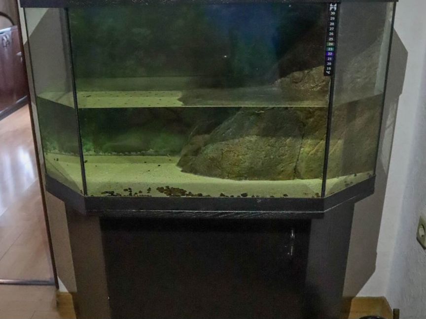 Аквариум с тумбой 120 литров с компрессором