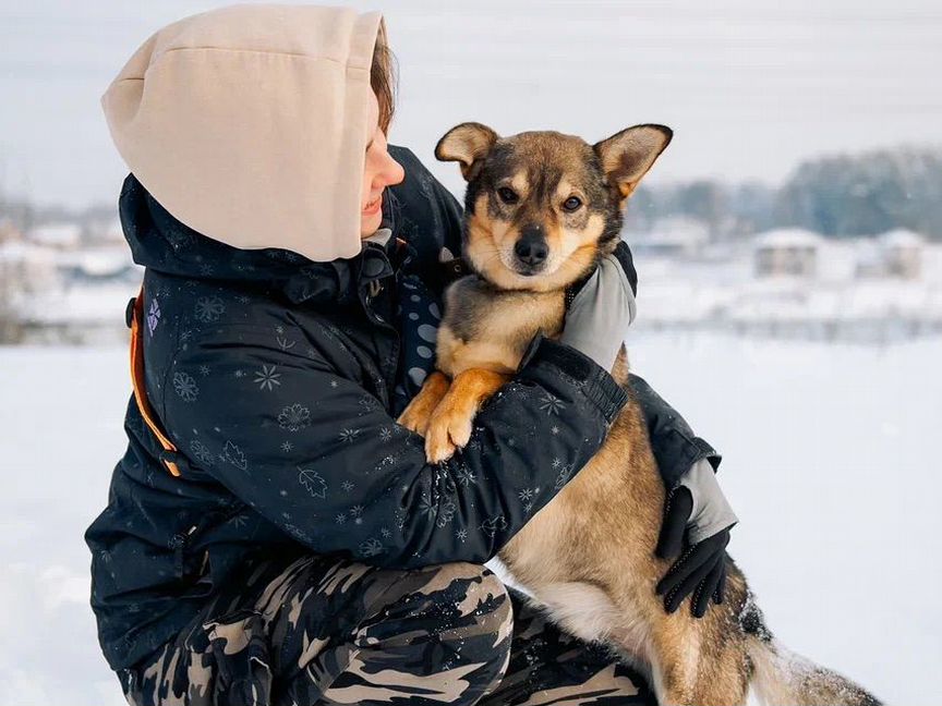 Маленькая умная собачка из приюта бесплатно