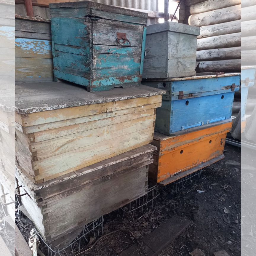 Ульи для пчел