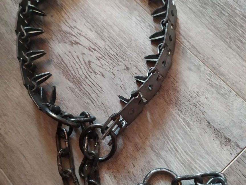 Строгий ошейник