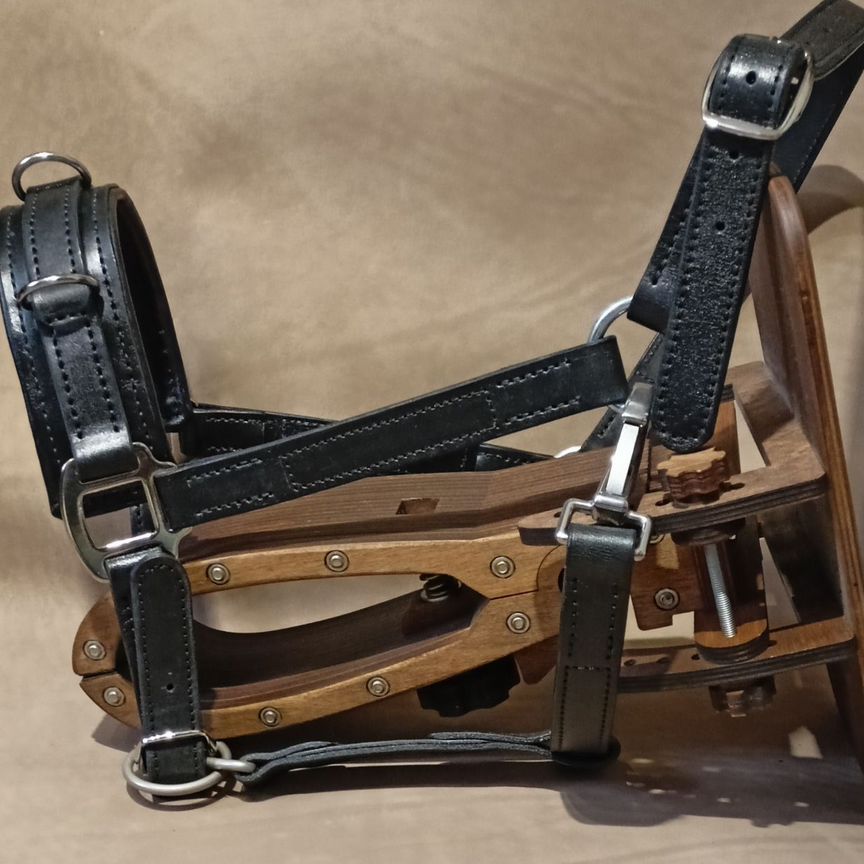 Недоуздок кавесон