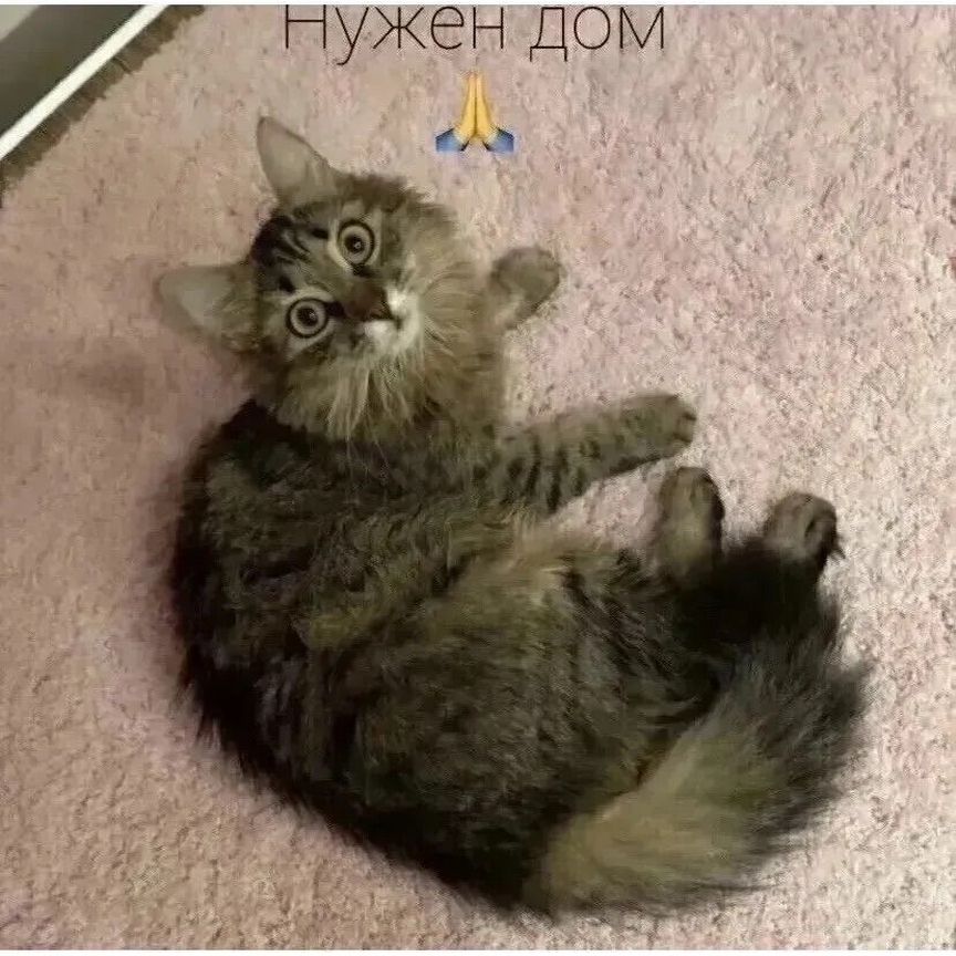 Спасенная малышеа ищет ответсвенных людей