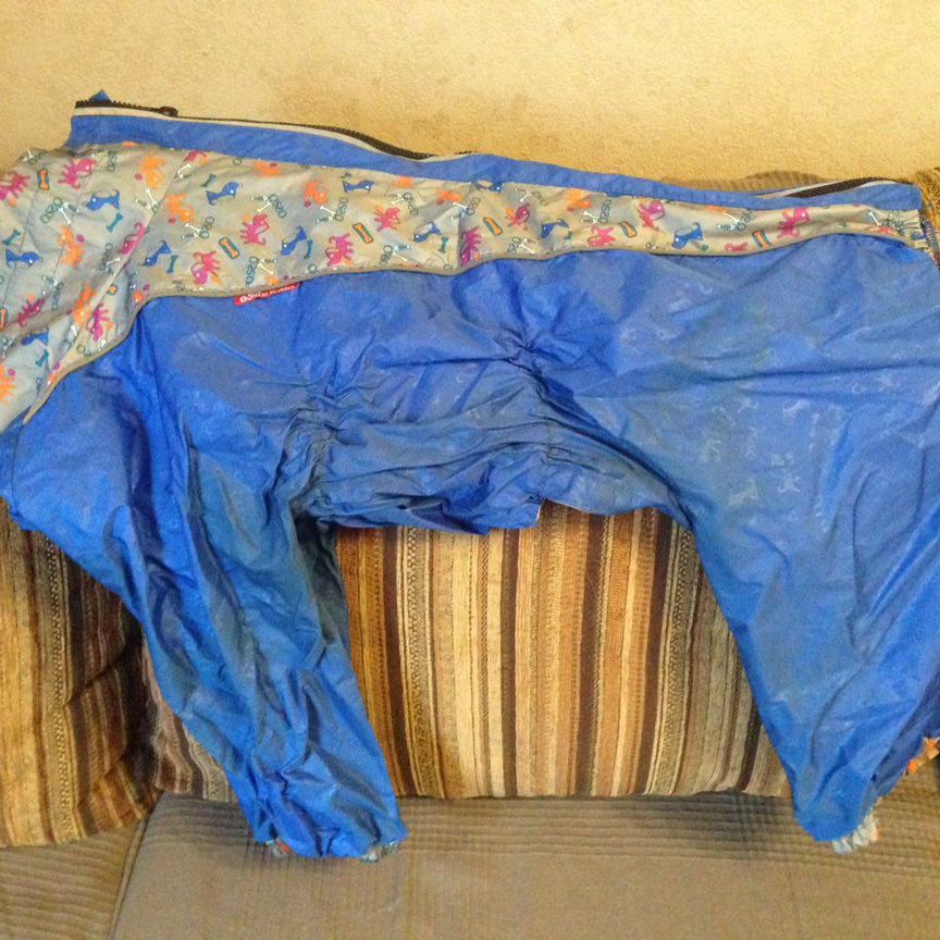 Комбинезон на среднюю собаку (лабрадор, колли)